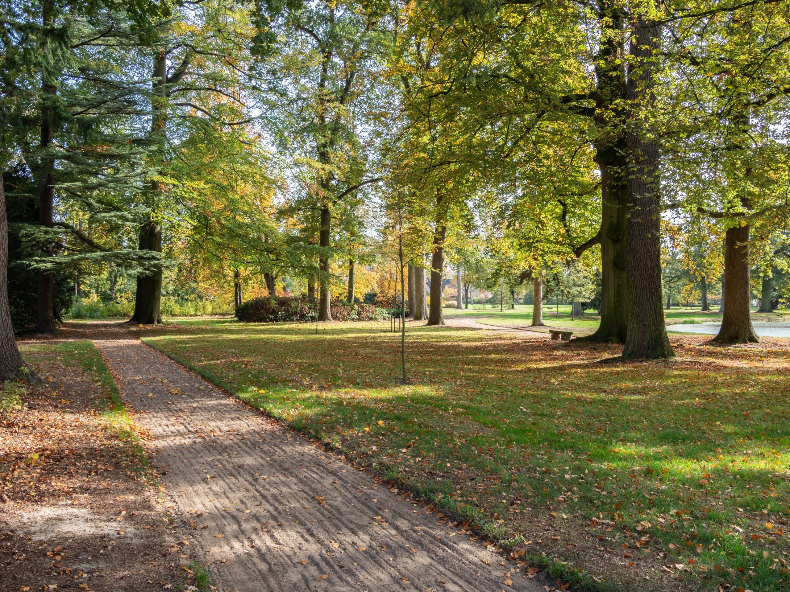 Bezoek park - Singraven